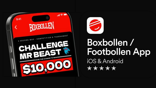 Boxbollen Family Pack 🎉 (5x) 27% DISCOUNT