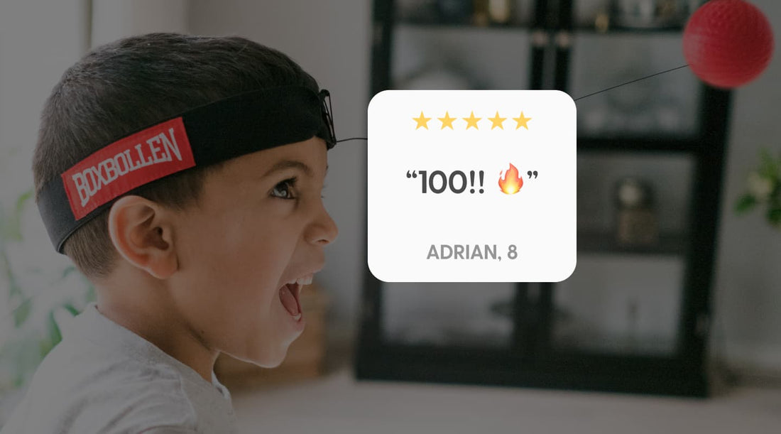 Boxbollen Original - Focus. Training. Fun!